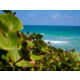 Holiday Inn Miami Beach-Oceanfront Hotel by IHG